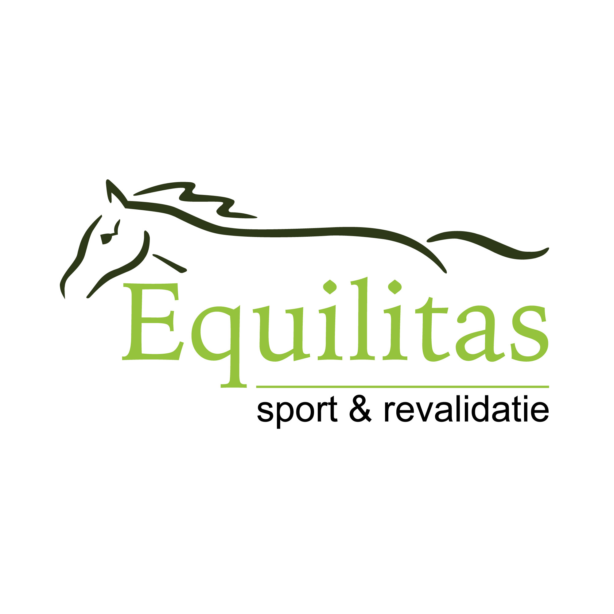 Home [www.equilitas.nl]